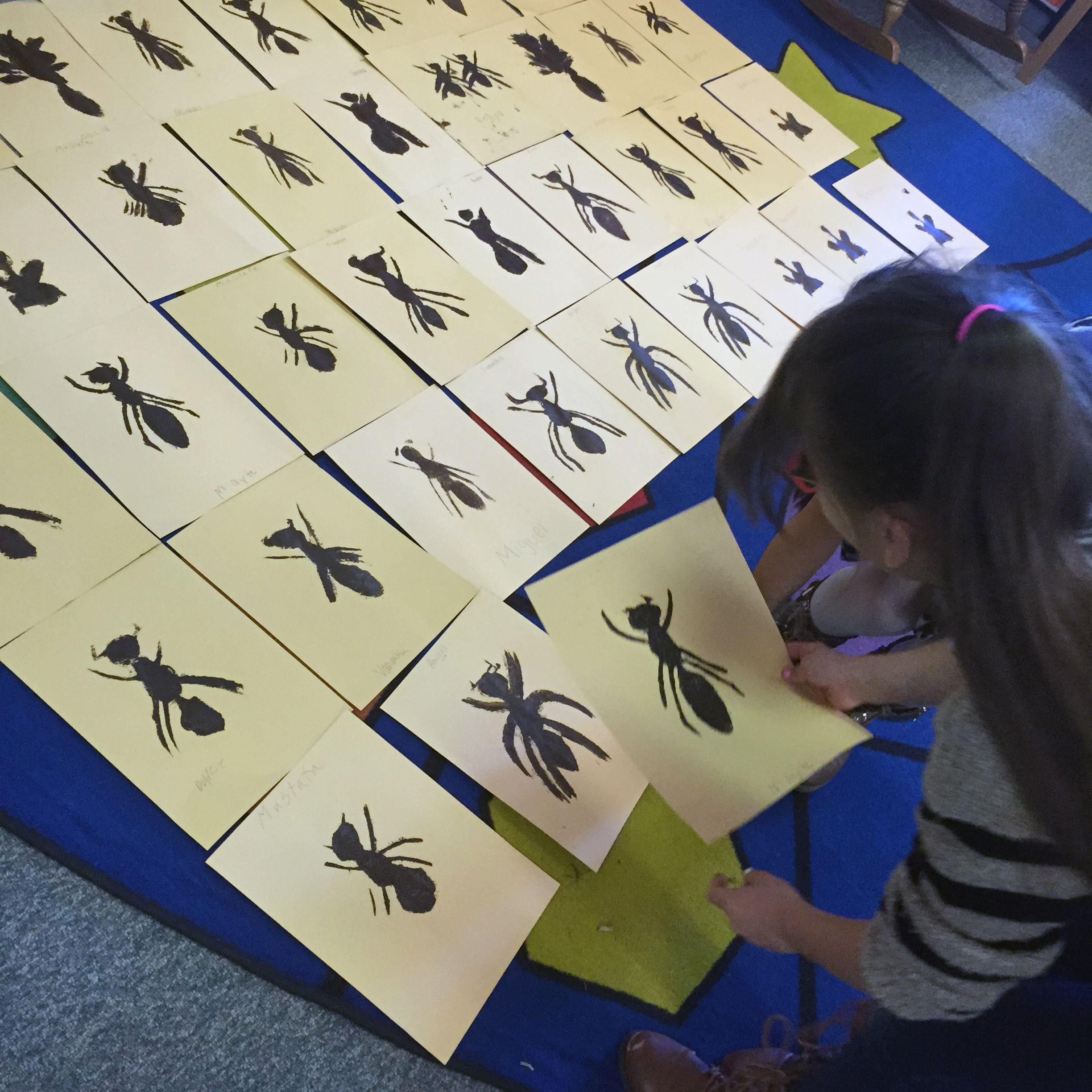 INSECTS UNIT: Armored Tanks of the Insect World – michele guieu