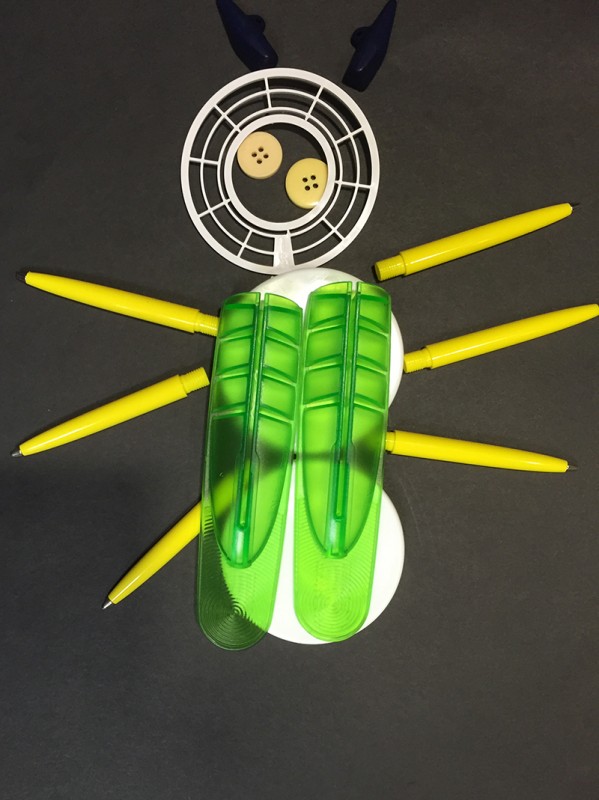 Insects Unit: What Makes an Insect an Insect? A Flexible Composition ...