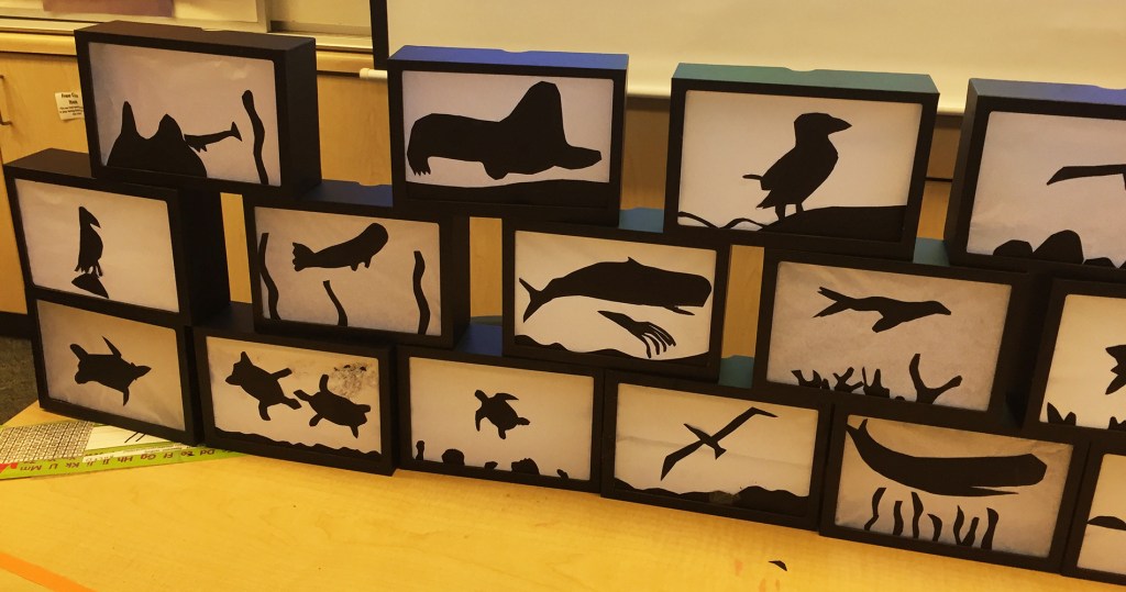 Endangered Marine Species – Shadow Box – michele guieu