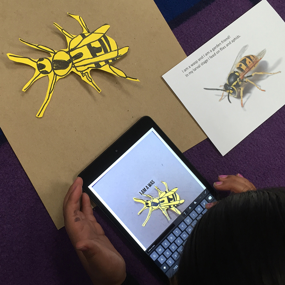 INSECTS UNIT: Friend or Foe? – michele guieu