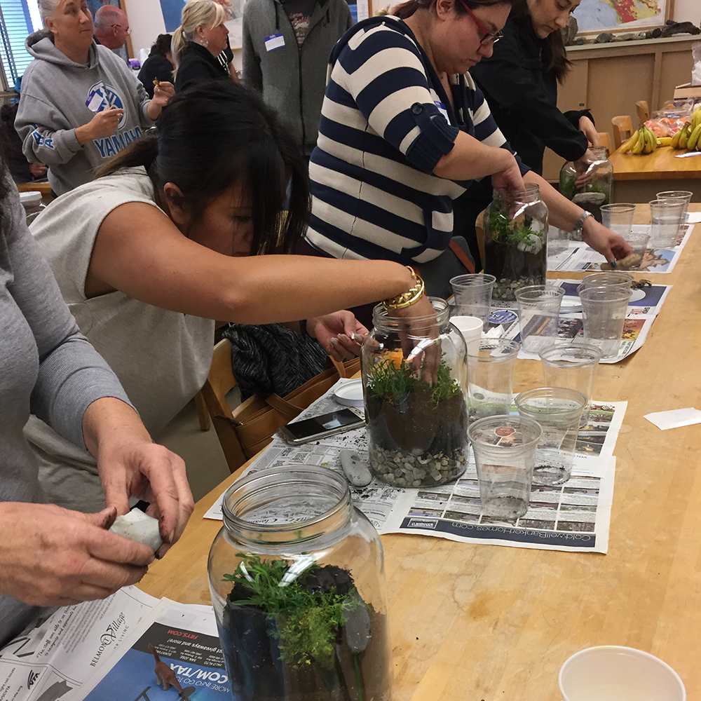 The Bay Area Environmental STEM Institute presents: Science, Art ...