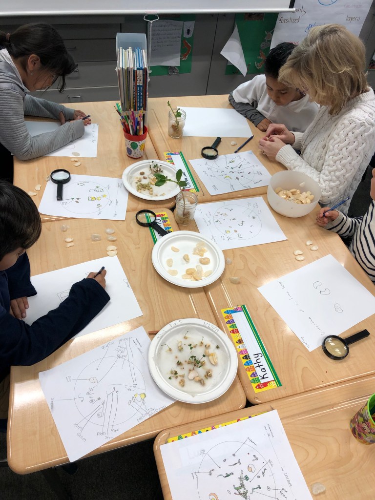 The Secret World of Pollination / Germination Observation – michele guieu