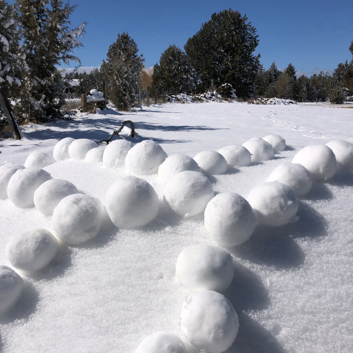 Snow Play – michele guieu